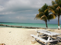 Goff’s Caye – Splash Wave Tours